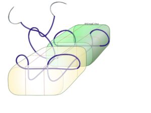 【診療Tips】Modified Kessler suture technique - マイナー外科・救急